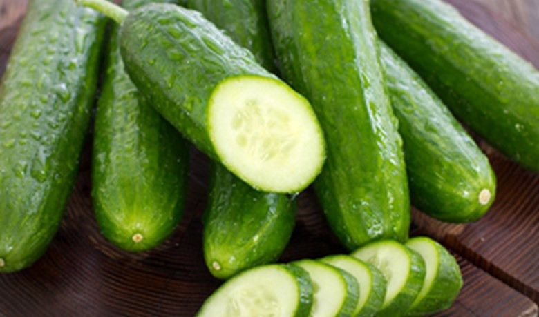 Svenska Odlarlaget | Lär känna våra fantastiska odlare